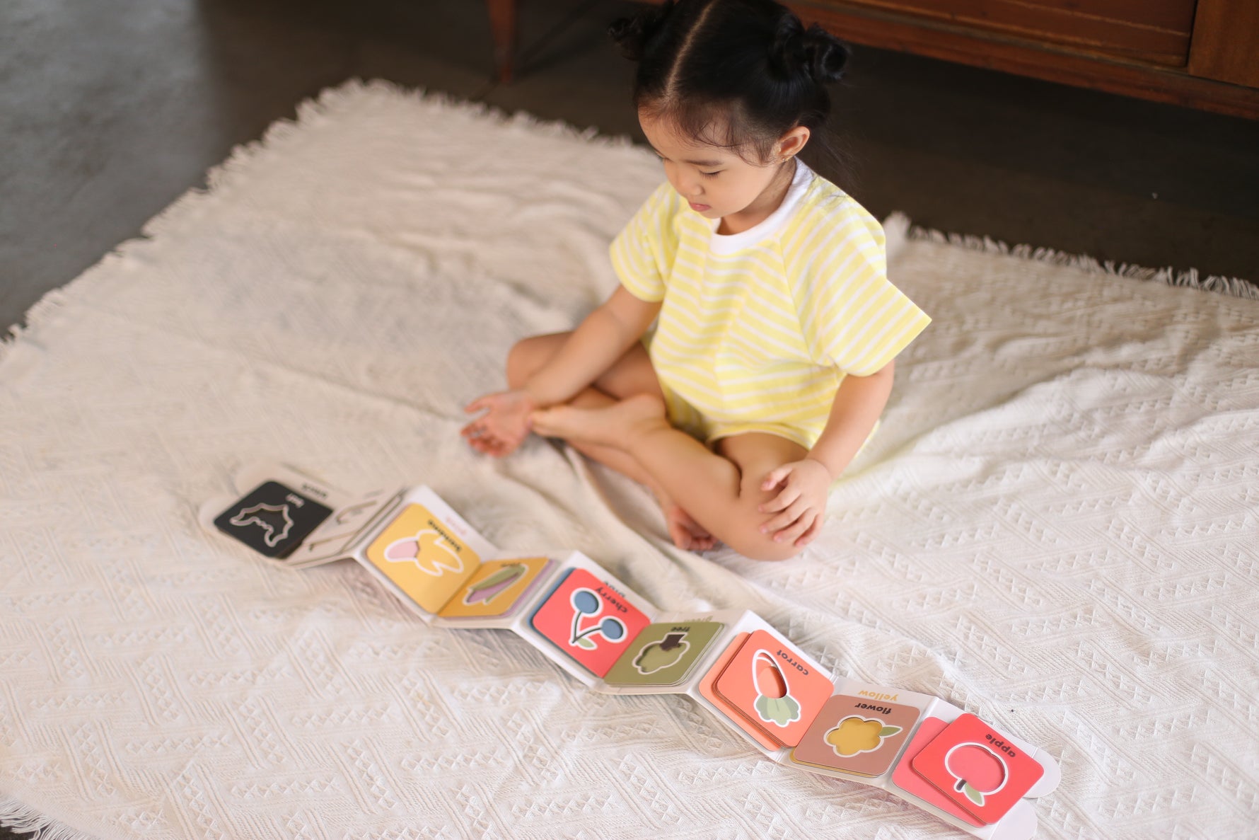 The Color Kit – Learning Time HK